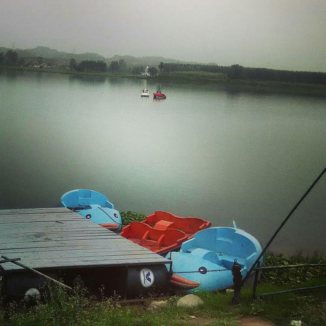Wetlands in Punjab ‣ TheWorldofPunjab.com